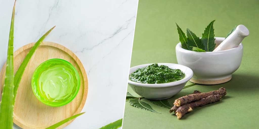 Why You Should Add Neem And Aloe Vera To Your Skincare Kit-Why You ...