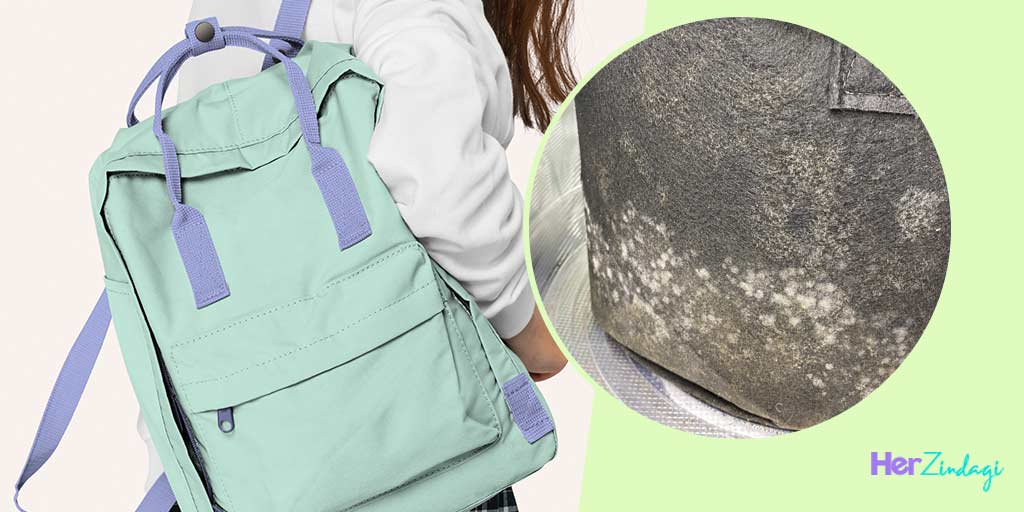 How To Clean Mould Off School Bags-स्कूल बैग में लगी फफूंद से छुटकारा ...