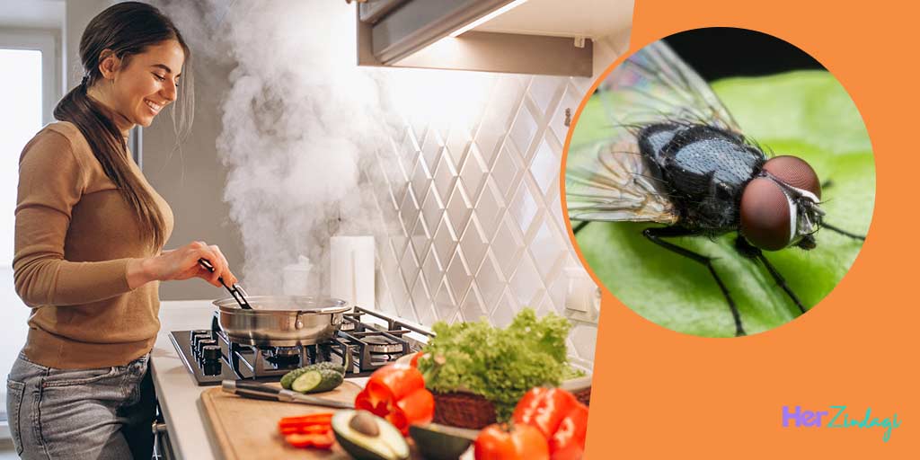 How To Get Rid Of House Flies In Kitchen In Hindi -Easy Tips: इन आसान ...