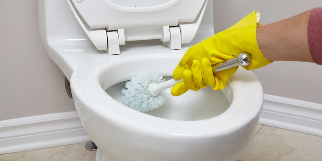 How To Clean Toilet Brush