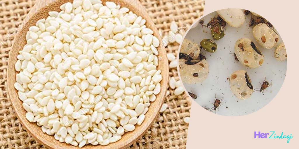 How to Store Sesame Seeds from Bugs | how to store sesame seeds from ...