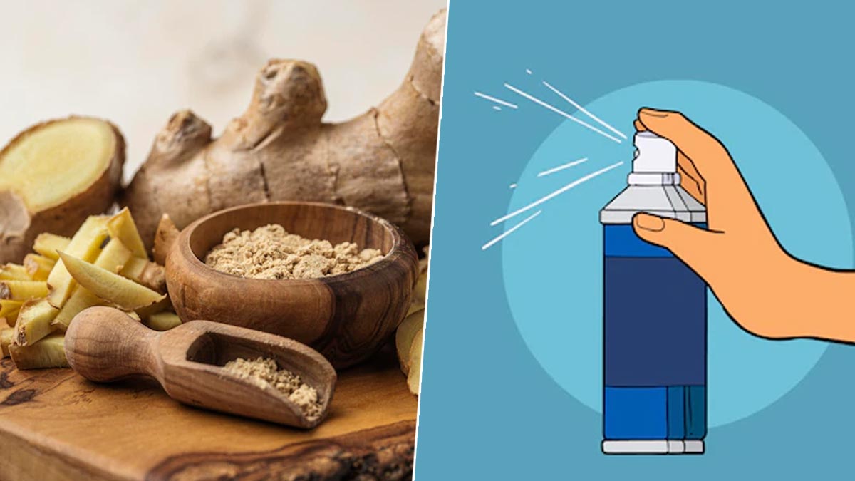 Ginger As Cockroach Repellent| अदरक से अनोखे इस्तेमाल| Adrak Se Kide ...