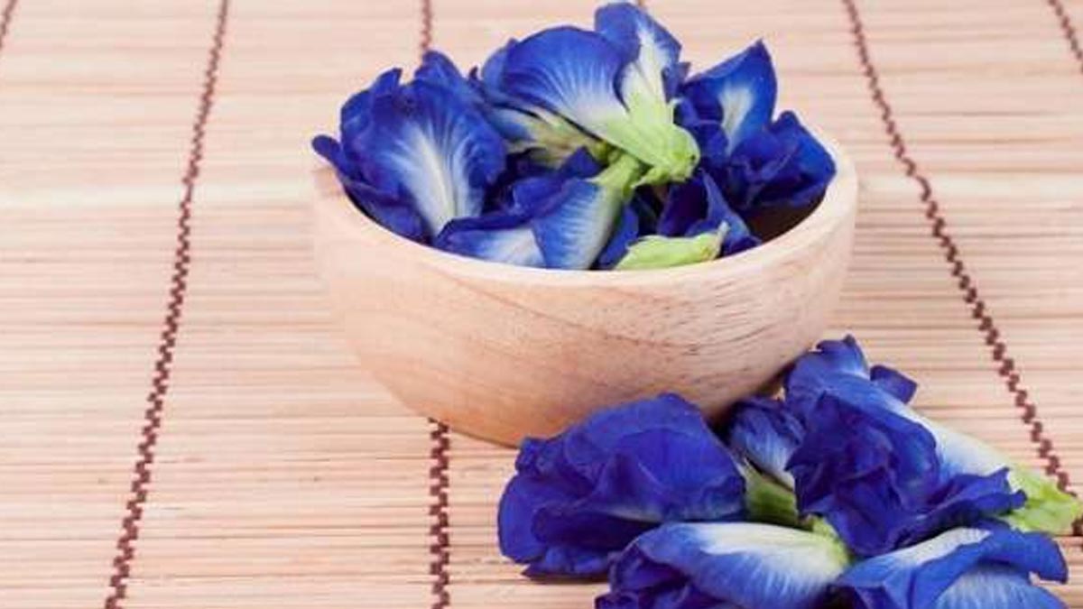 Which Flower Is Offered To Which God| भगवान का पसंदीदा फूल| Bhagwan Ko ...