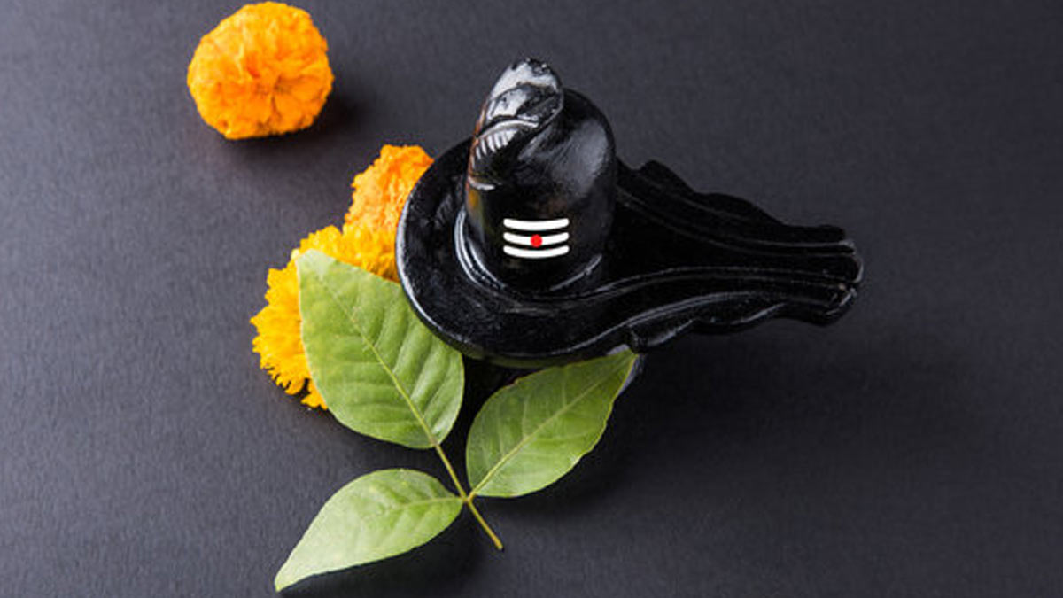 Which Flower Is Offered To Which God| भगवान का पसंदीदा फूल| Bhagwan Ko ...