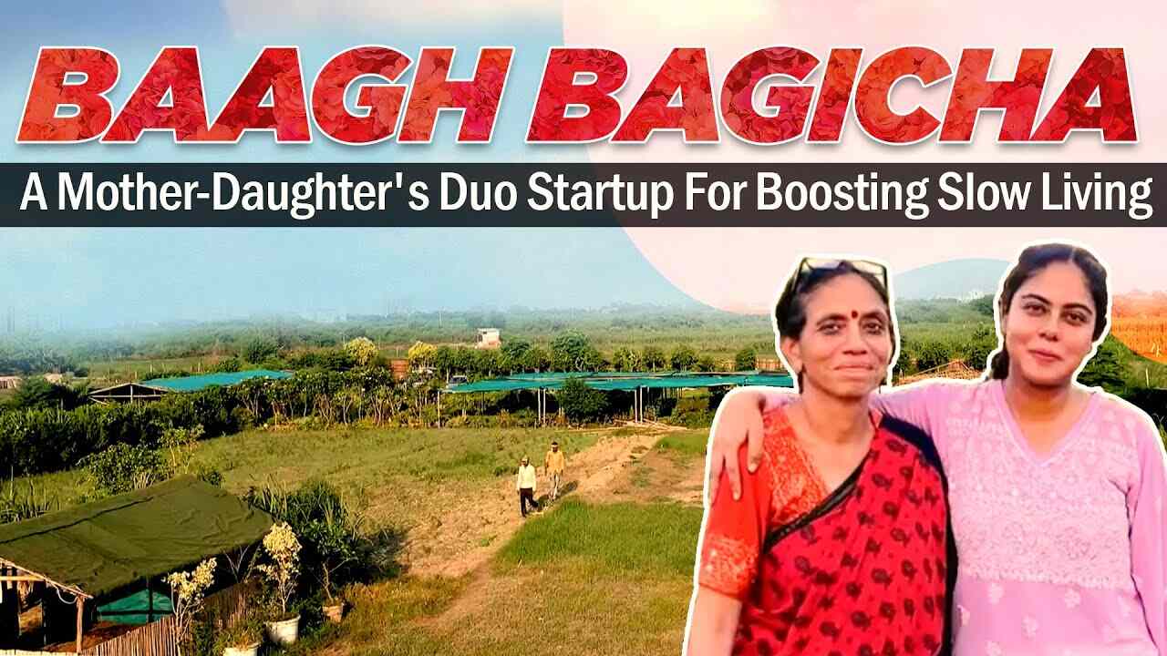 Baagh Bagicha Family Restaurant | बाघ बगीचा नोएडा | Baagh Bagicha Ki Shuruat Kab Hui