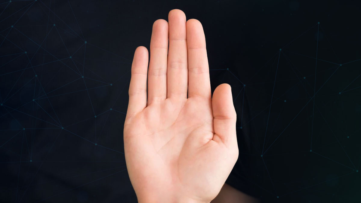 अपने बारे में जाने रोचक बातें| Personality According To Palm Shape ...