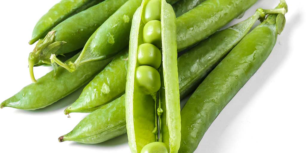 A Pack Of Protein: How To Add Peas To Your Diet-A Pack Of Protein: How ...