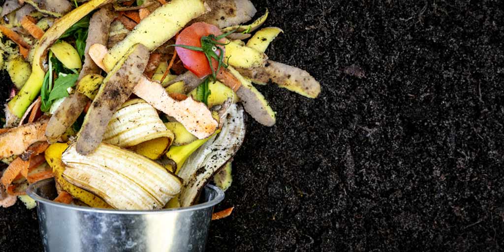 Clever Ways To Reuse Kitchen Waste 