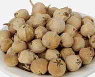 Diabetes | Traditional Medicine | Food For Diabetes-Do Aak Leaves Have ...