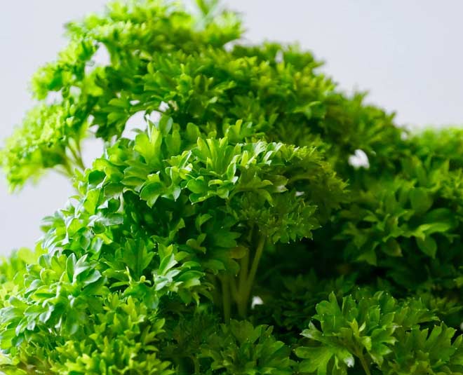 Parsley Meaning In Hindi