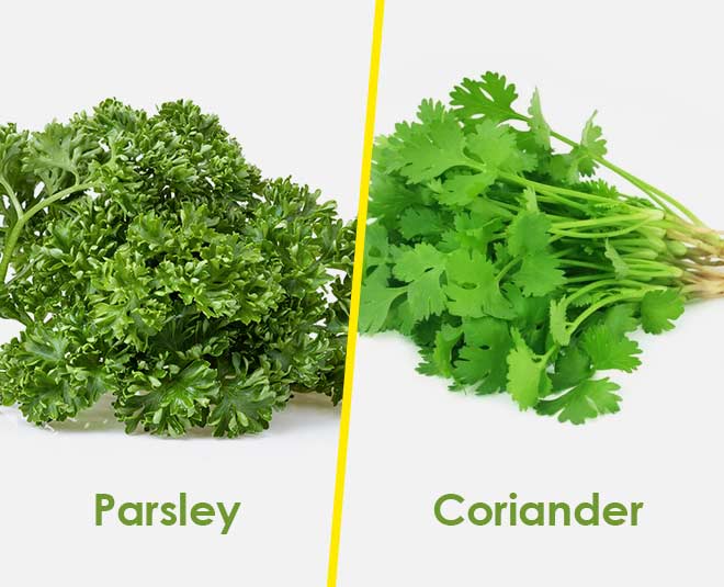 Parsley Meaning In Hindi