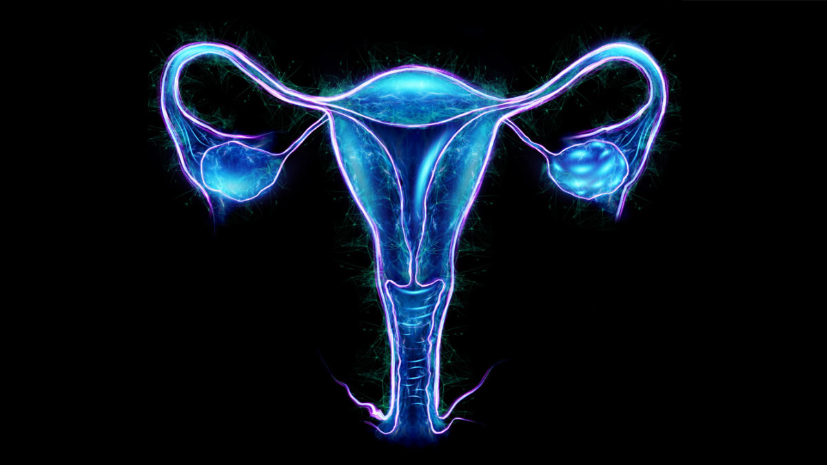 Ovaries Facts| ओवरी का कार्य| Ovaries se Jude Facts | interesting facts ...