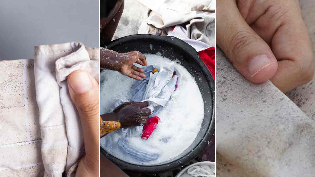 How Do You Get Fungus Out of Clothes|कपड़ों पर लगी फंफूदी कैसे हटाएं ...