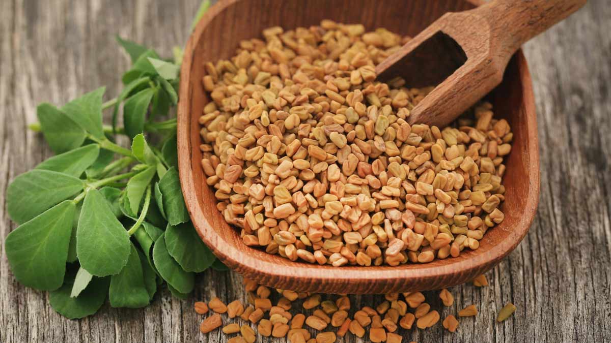 DIY Fenugreek Hair Mask | Hair Mask | मेथी का हेयर मास्क | homemade ...
