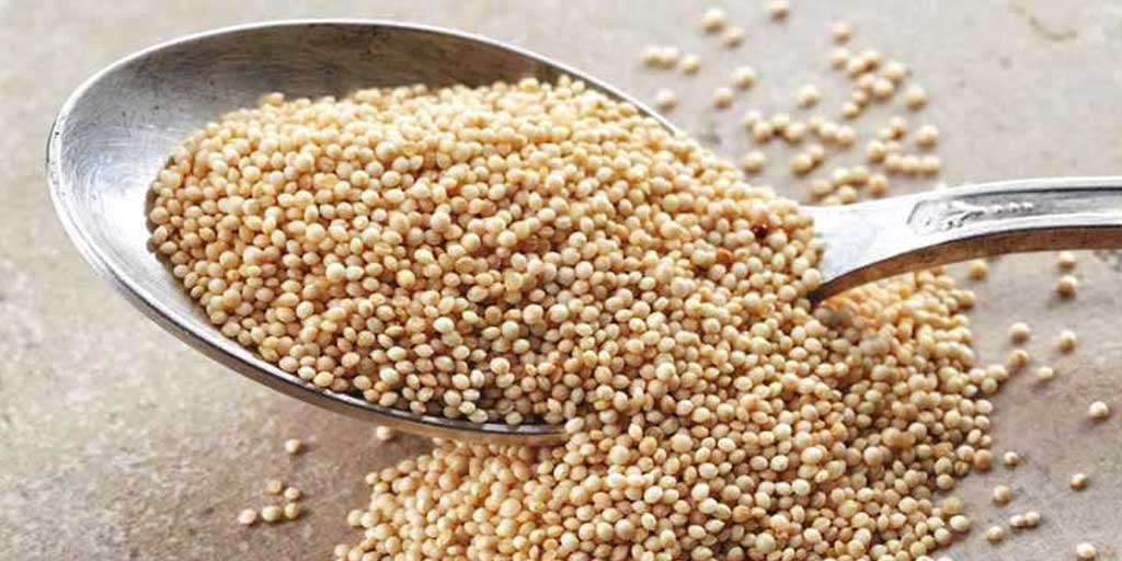 How is Rajgira Made And Different Facts About It| कैसे बनता है राजगिरा ...