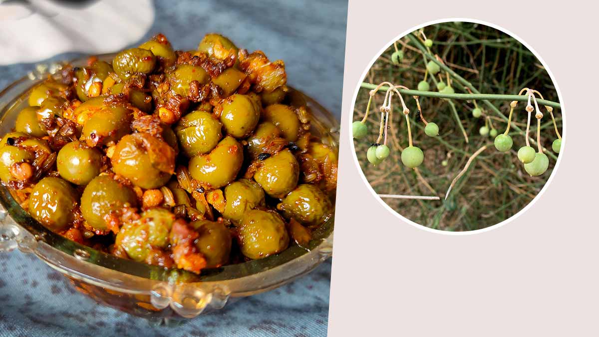 significance of ker vegetable|केर का इतिहास|ker ke bare mein jane ...