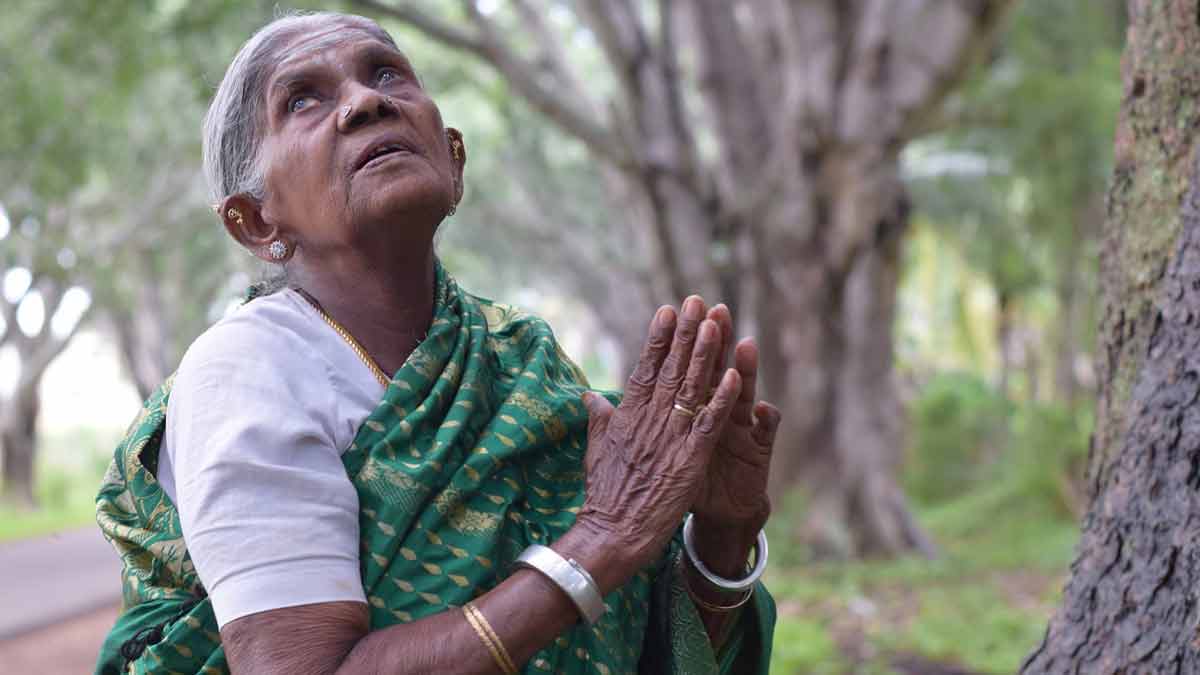 Know About Mother Of Trees| कौन हैं Saalumarada Thimmakka| Padmashree ...