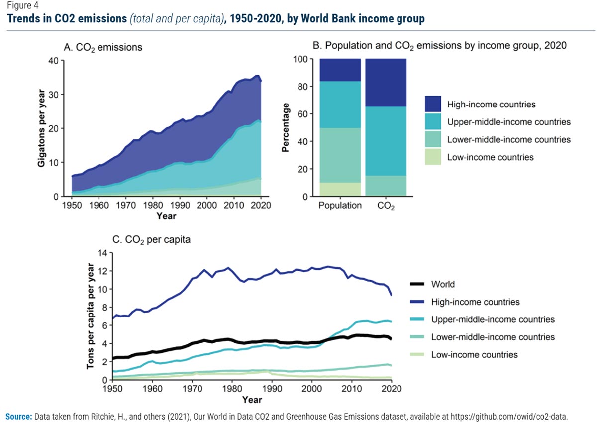 World Population | 8 Billion Global Population | Environmental Damage ...