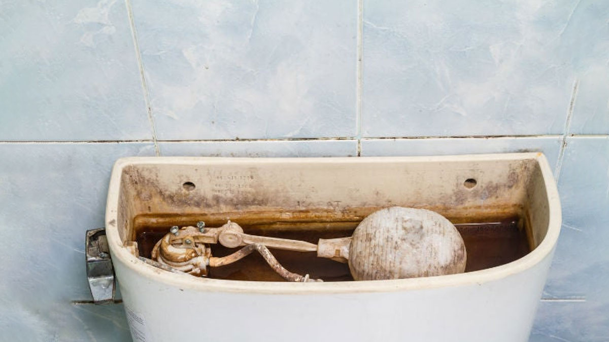 Baking Soda On Toilet Tank at Robin Alexander blog