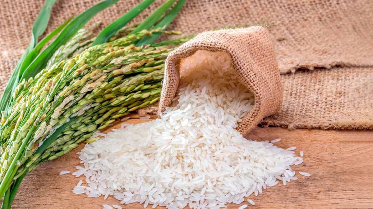 Pure Rice Check| चावल में मिलावट कैसे चेक करें| Chawal Ko Kaise Check ...