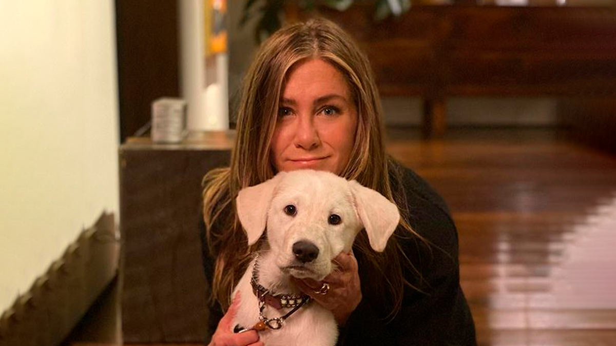 Jennifer Aniston | Allure Cover | Fashion Statement | HerZindagi Jennifer Aniston | Allure Cover | Fashion Statement | HerZindagi