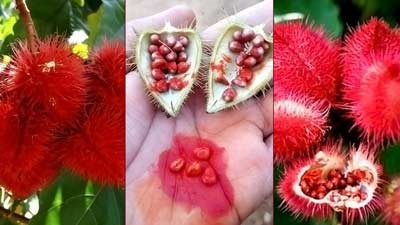 Ways To Make Your Sindoor Look Gorgeous In Hindi | ways to make your ...