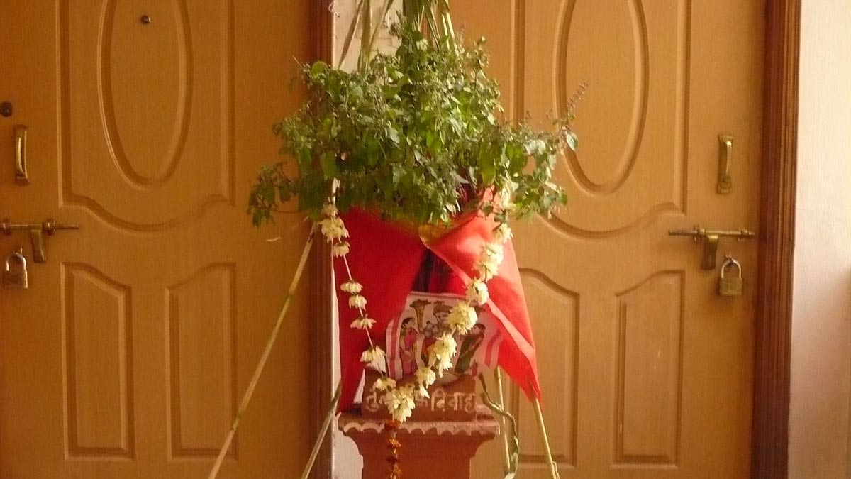Tulsi Vivah 2022 Puja Samagri List तुलसी का श्रृंगार कैसे करें