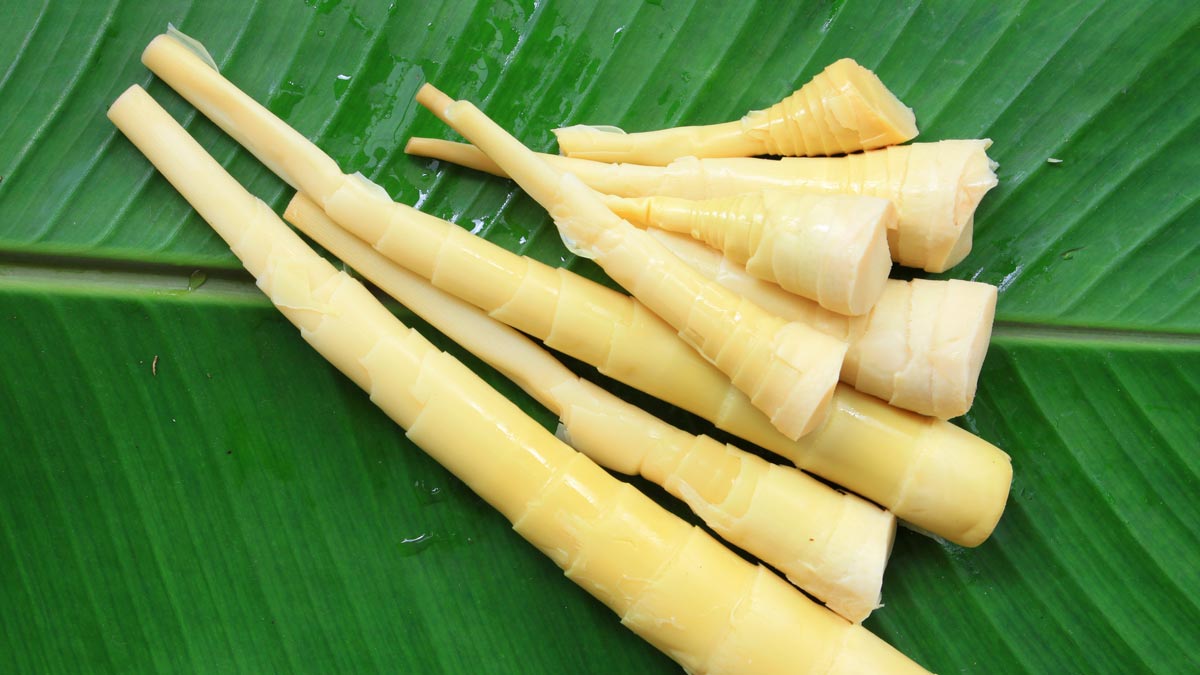 Bamboo Recipe|बांस की सब्जी|Bamboo Shoot Se Banaye Ye Recipe | what ...
