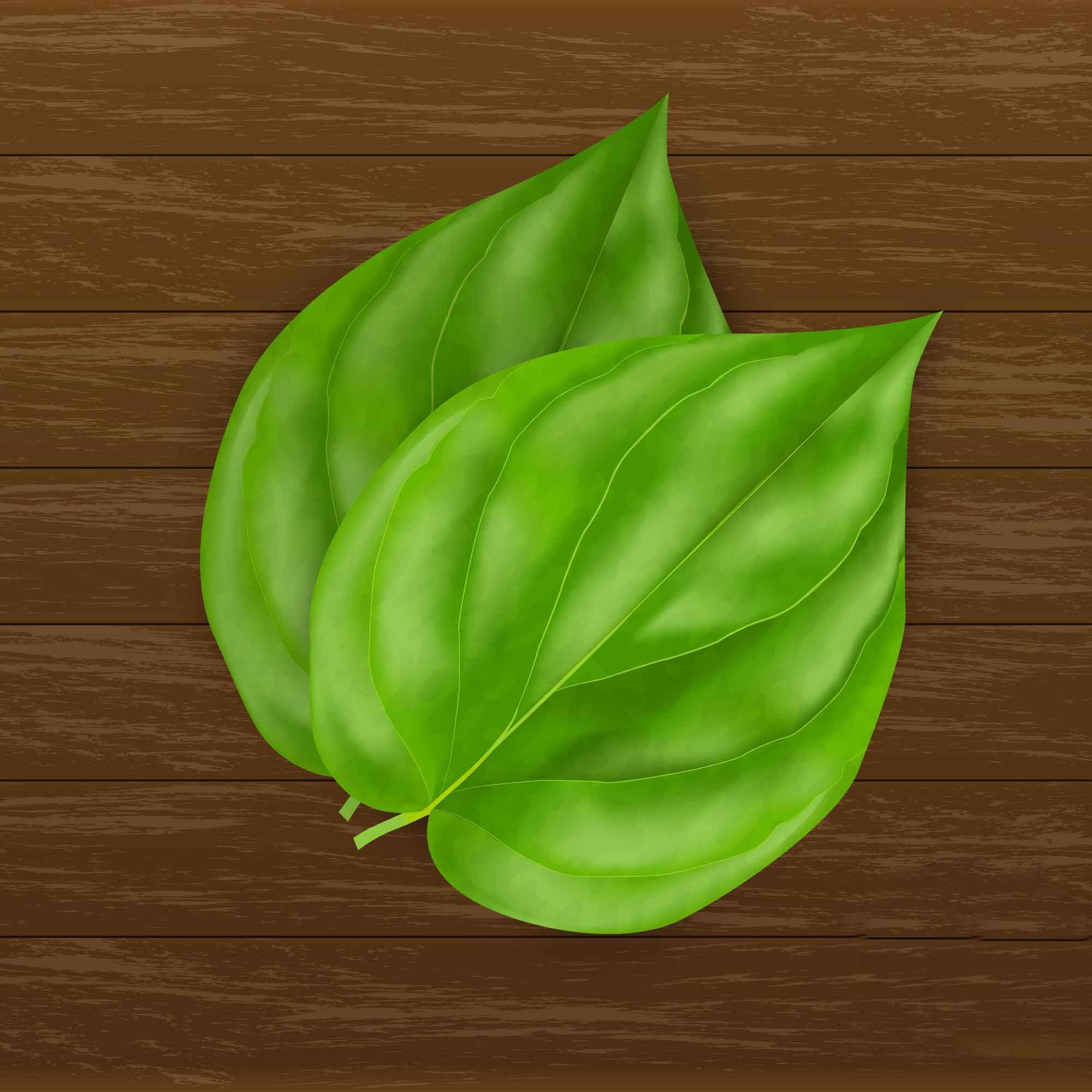 धनतेरस के दिन करें वास्तु के कुछ उपाय, खुल जाएंगे किस्मत के दरवाजे | dhanteras 2022 vastu tips ...