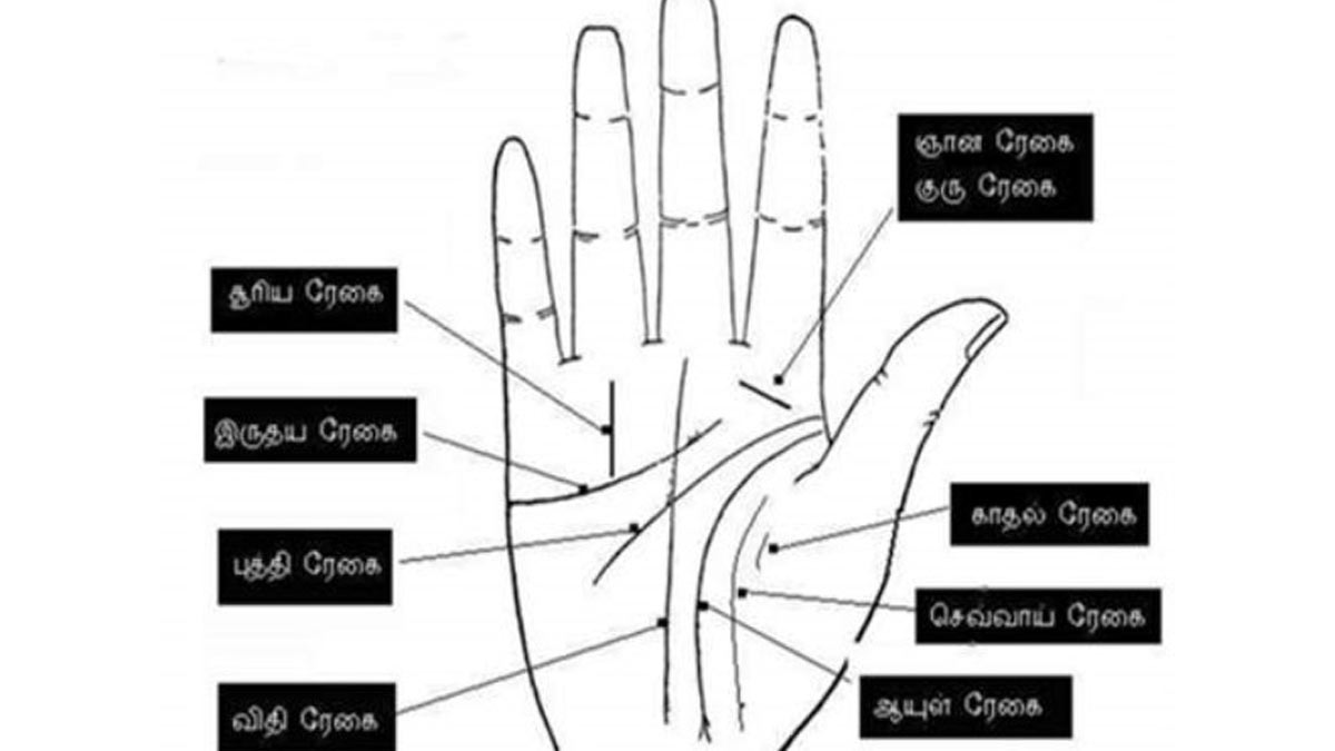 விரலுக்கு கீழ் இந்த ரேகை தெரிகிறதா? எனில், நீங்கள் வெற்றி வாகை சூட ...