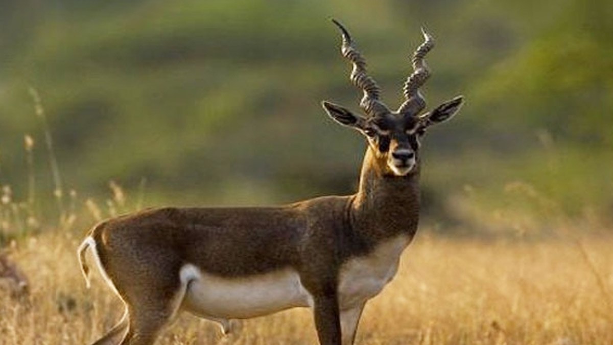 Places To Explore In Chittoor| चित्तूर में घूमने की जगहें| Chittoor Me ...