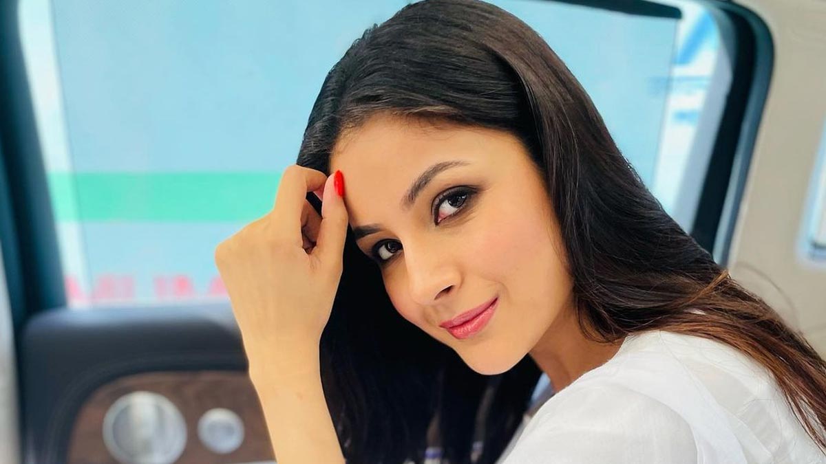 Shehnaaz Gill | Twitter | Better Artist-Shehnaaz Gill Says Trending On ...