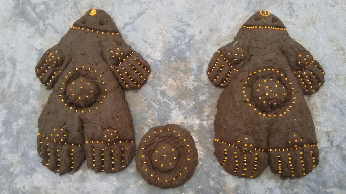 Govardhan Puja 2022| गाय के गोबर का महत्‍व| Gobar Astro Remedies | cow ...