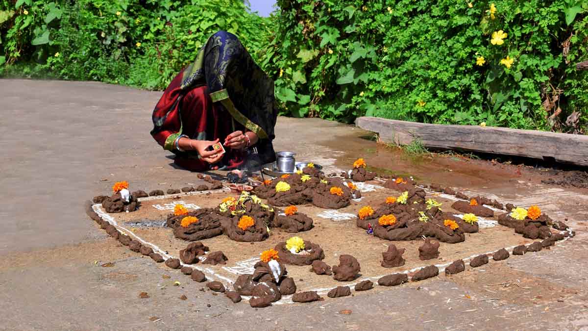 Govardhan Puja 2022| गाय के गोबर का महत्‍व| Gobar Astro Remedies | cow ...