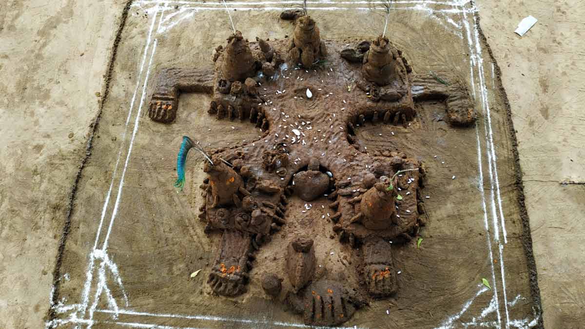 Govardhan Puja 2022| गाय के गोबर का महत्‍व| Gobar Astro Remedies | cow ...