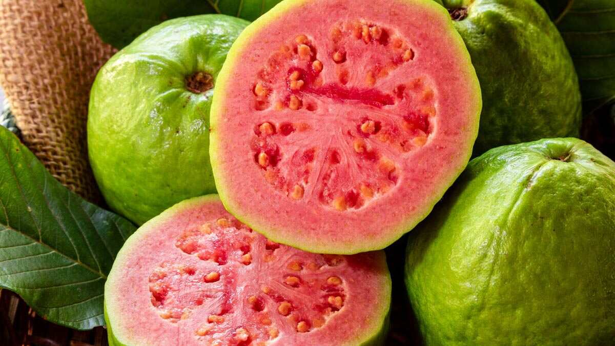 Mint Guava Chutney Recipe| अमरूद चटनी की रेसिपी| 5 Minute Chutney ...