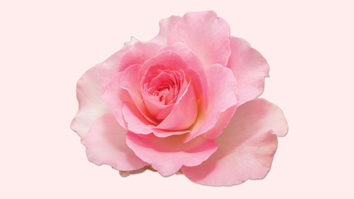 Pink Lips|पिंक लिप्स के लिए टिप्‍स| Pink Lips Ke Liye Tips | night ...