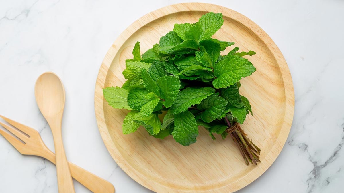 Healthy Leaves You Must Eat Patto Healthy Leaves You Must Eat Patto
