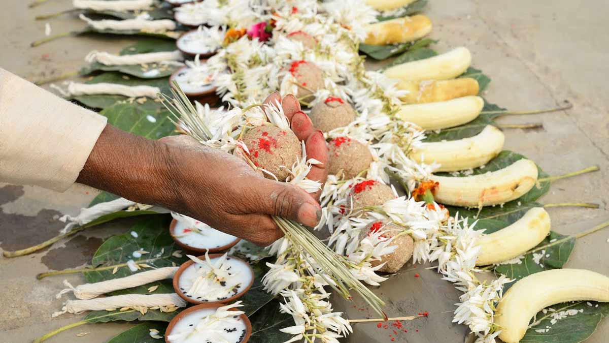 Pind Daan In Pushkar Rajasthan| पिंड दान कहां करना चाहिए| Pind Daan के ...