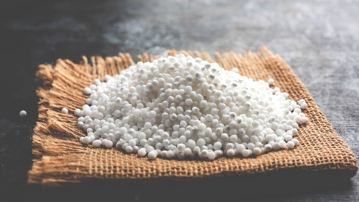 Choose Good Sabudana| साबूदाना खरीदने के टिप्स| Sabudana Kaise Kharida ...