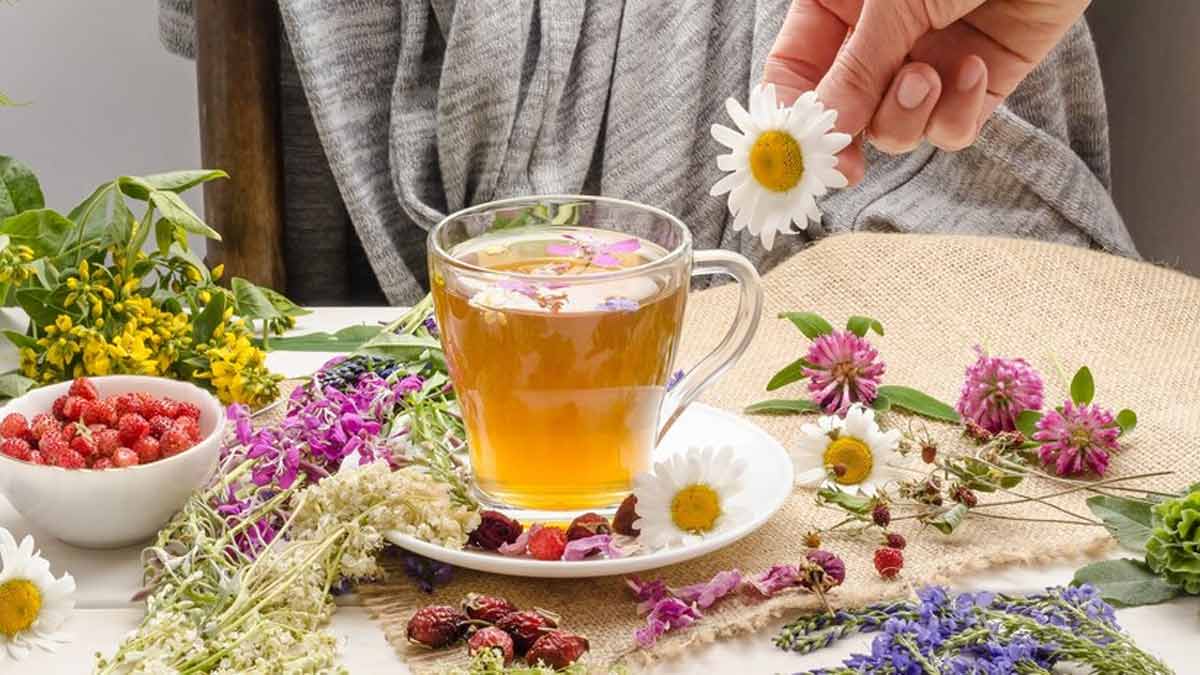 Flower Tea : பூக்களால் செய்யப்படும் டீ உடலுக்கு நல்லதா? | is flower tea ...