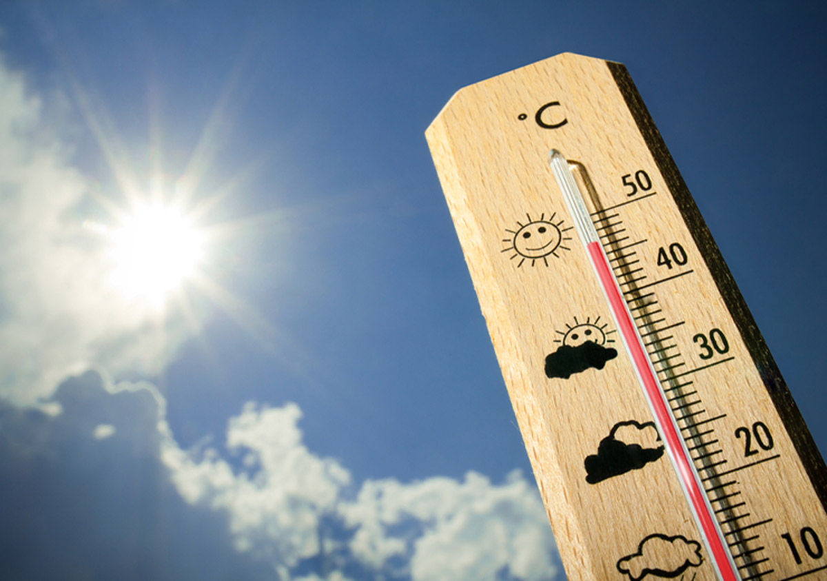 90 Percent Of India, Entire Delhi Under Heat Wave Impact, Here's How To ...