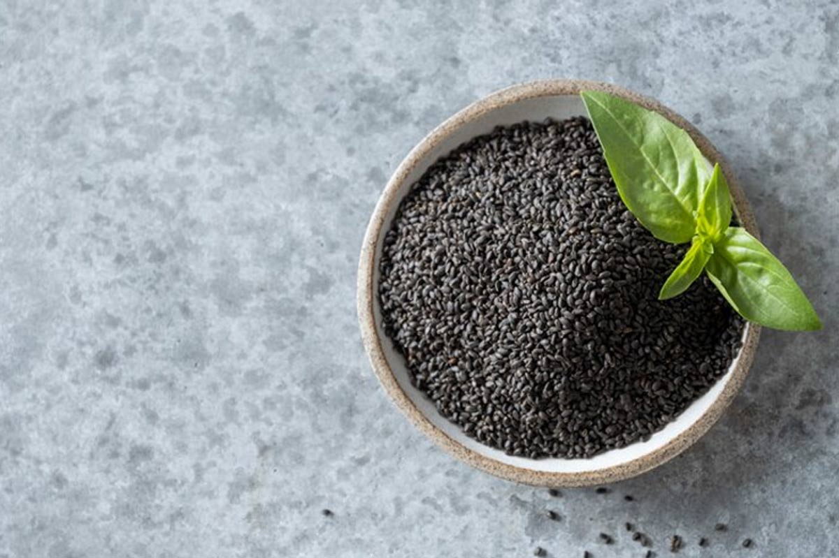 Sabja Seeds For Weight Loss : சப்ஜா விதைகள் உடல் எடையை குறைக்க உதவுமா ...