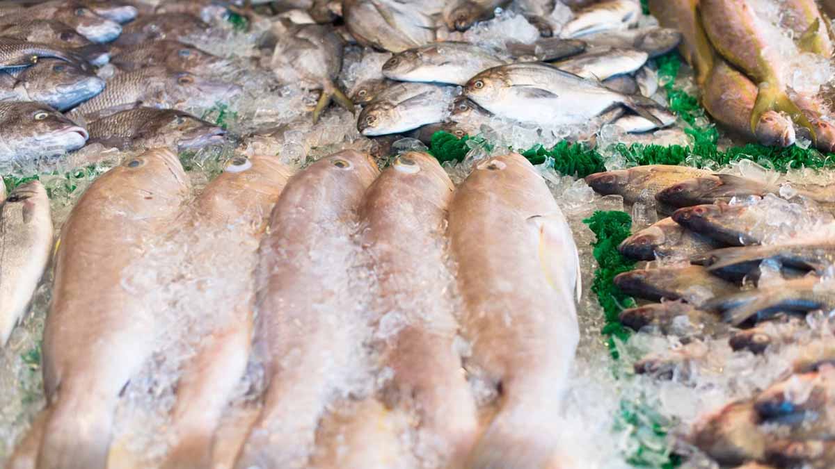 Fish Market : சென்னையில் குறைந்த விலையில் மீன் வாங்க எங்கே செல்ல ...