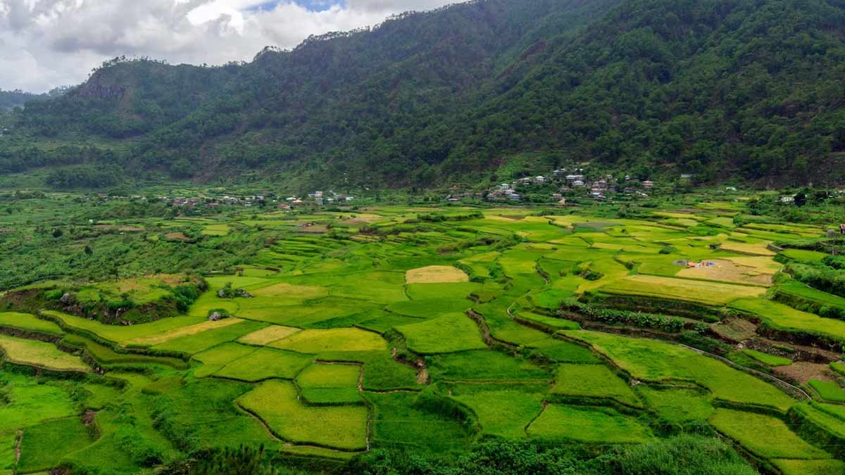 Visit These 5 Lesser-Heard Destinations In Tripura This Summer | Herzindagi