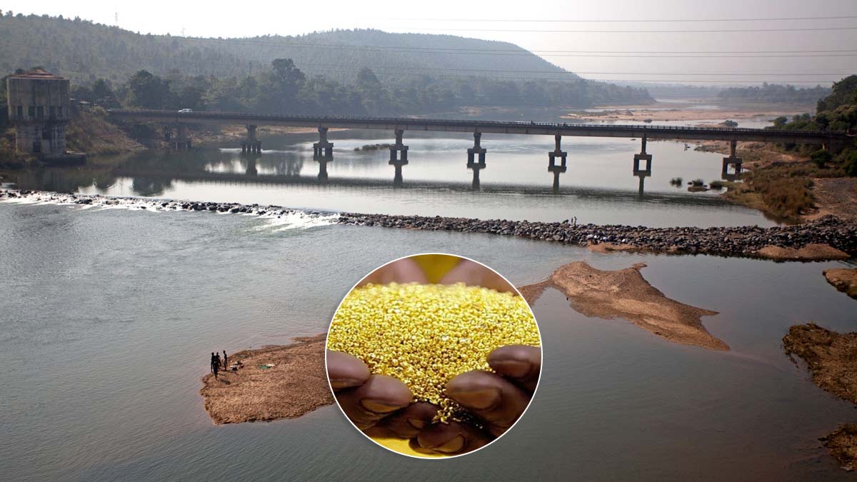 Gold River of India: क्या झारखंड की स्वर्णरेखा नदी में बहता है सोना ...