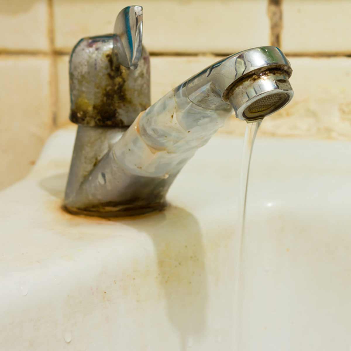 नल से आ रहा है गंदा पानी तो इन ट्रिक्स से करें उसे साफ | how to clean ...