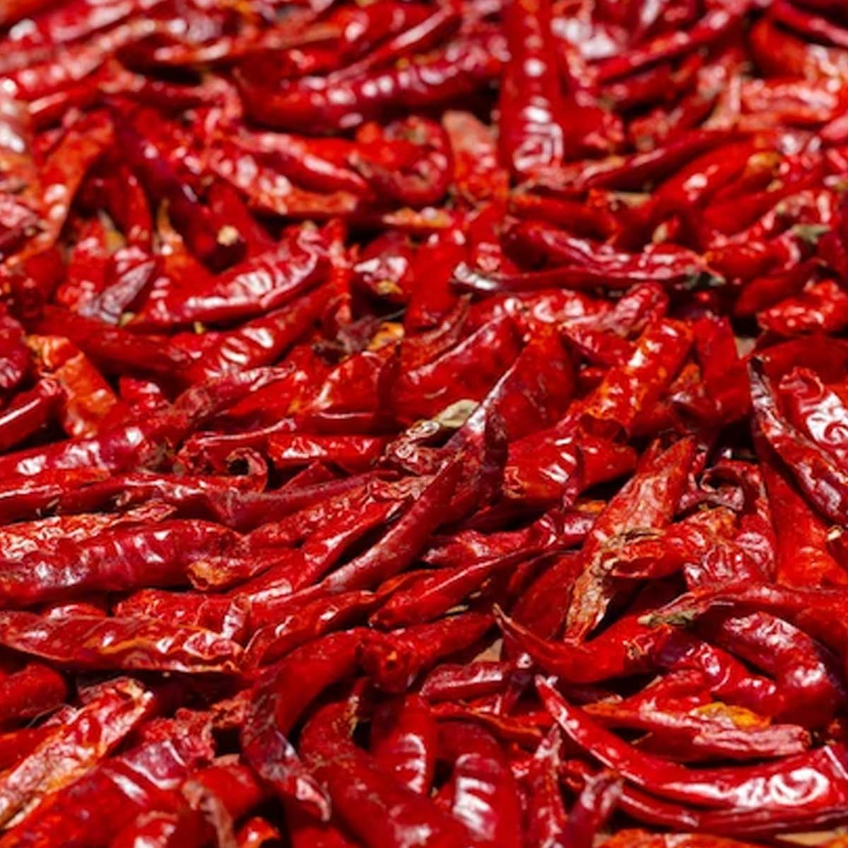 Green Vs Red chilli : பச்சையா, சிவப்பா? எந்த மிளகாய் ஆரோகியத்திற்கு ...