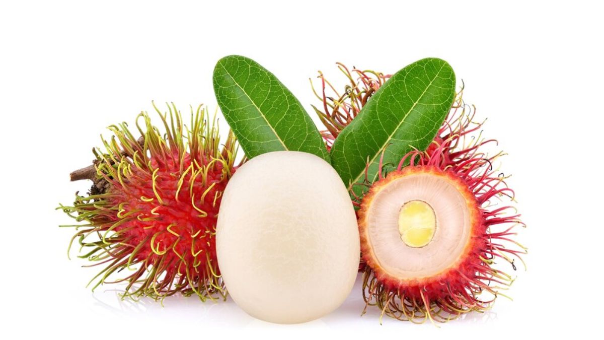 यह है भारतीय खट्टा फल, जो मात्र दो महीने के लिए बाजार में मिलता है ...