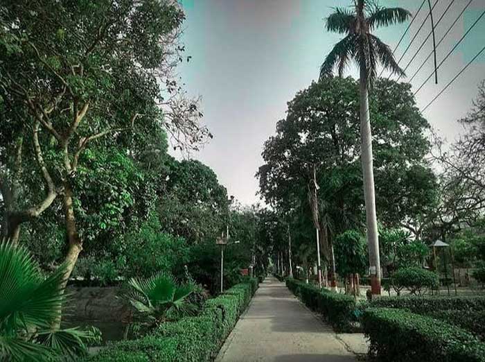 Picnic Spots: पिकनिक का प्लान बना रहे हैं तो बच्चों संग कानपुर की इन ...